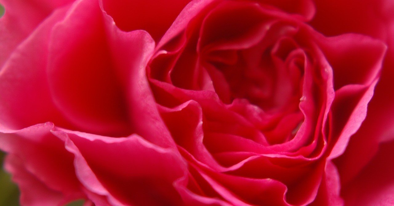 生なる意志を、信じきって。｜Cosmic Suzu｜note