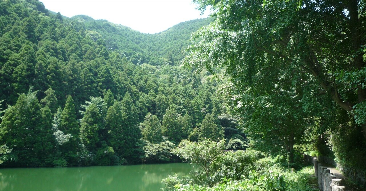 山｜23（PepperBox）