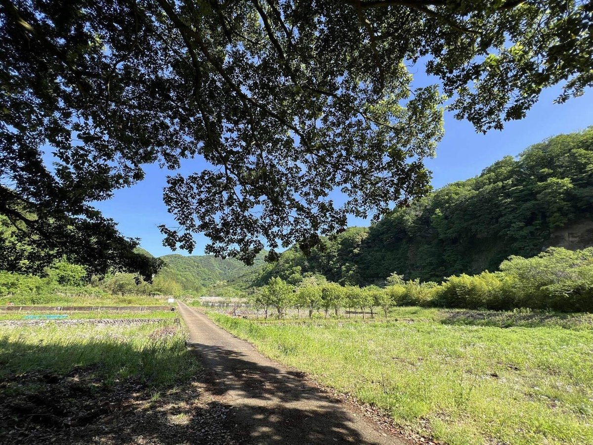 追いウォーキング｜jucon110