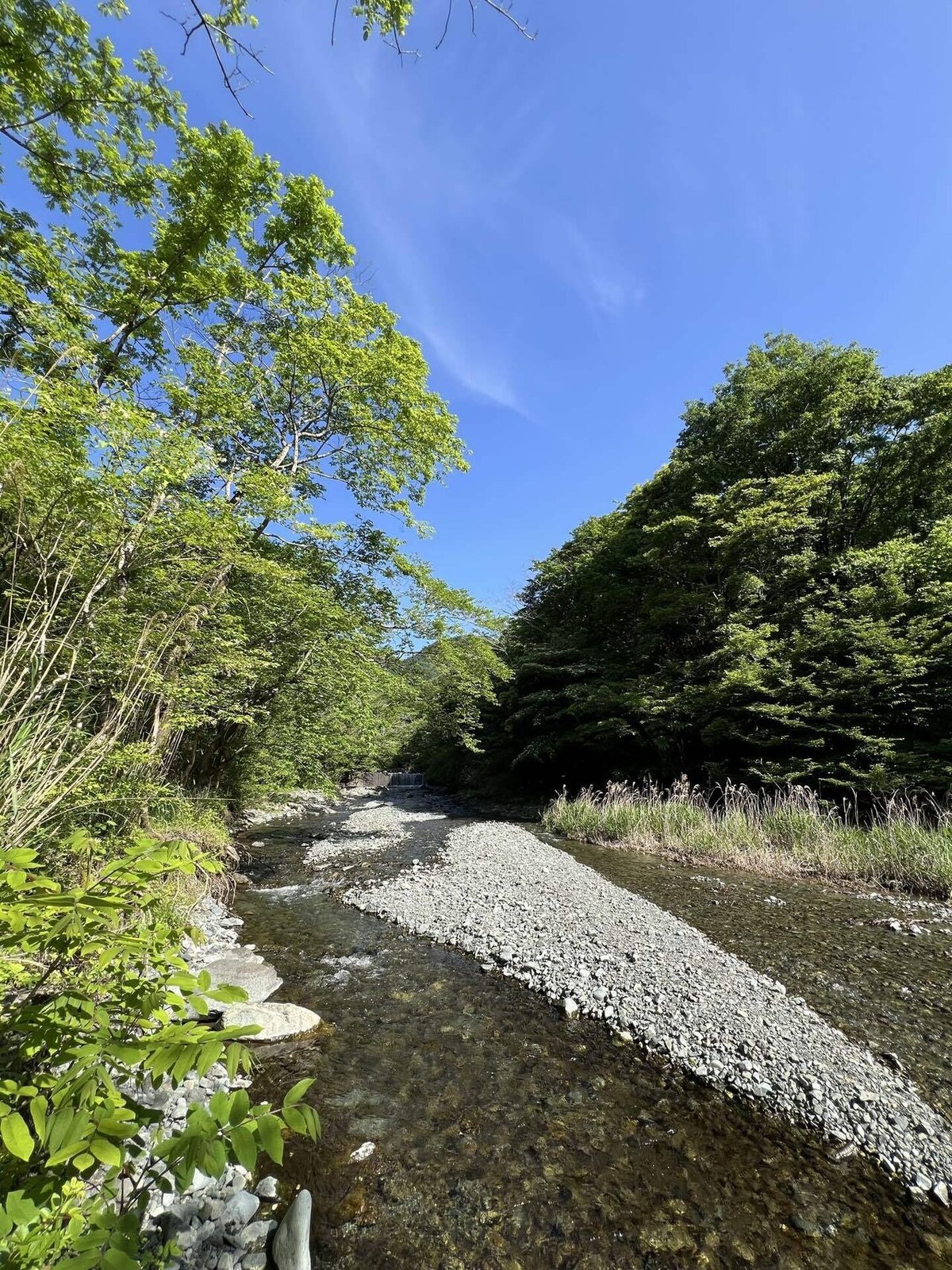 追いウォーキング｜jucon110