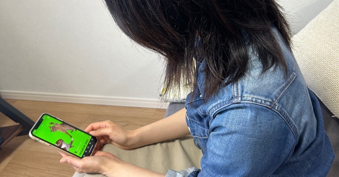 妻に3日間ひたすら「猫ミーム」を見続けてもらった話｜Yuya Suzuki／鈴木 雄也