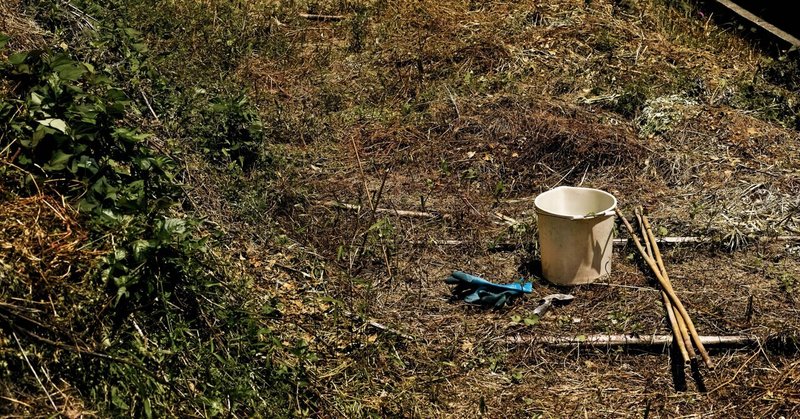 物食日記｜kuno_yasuhiro｜note