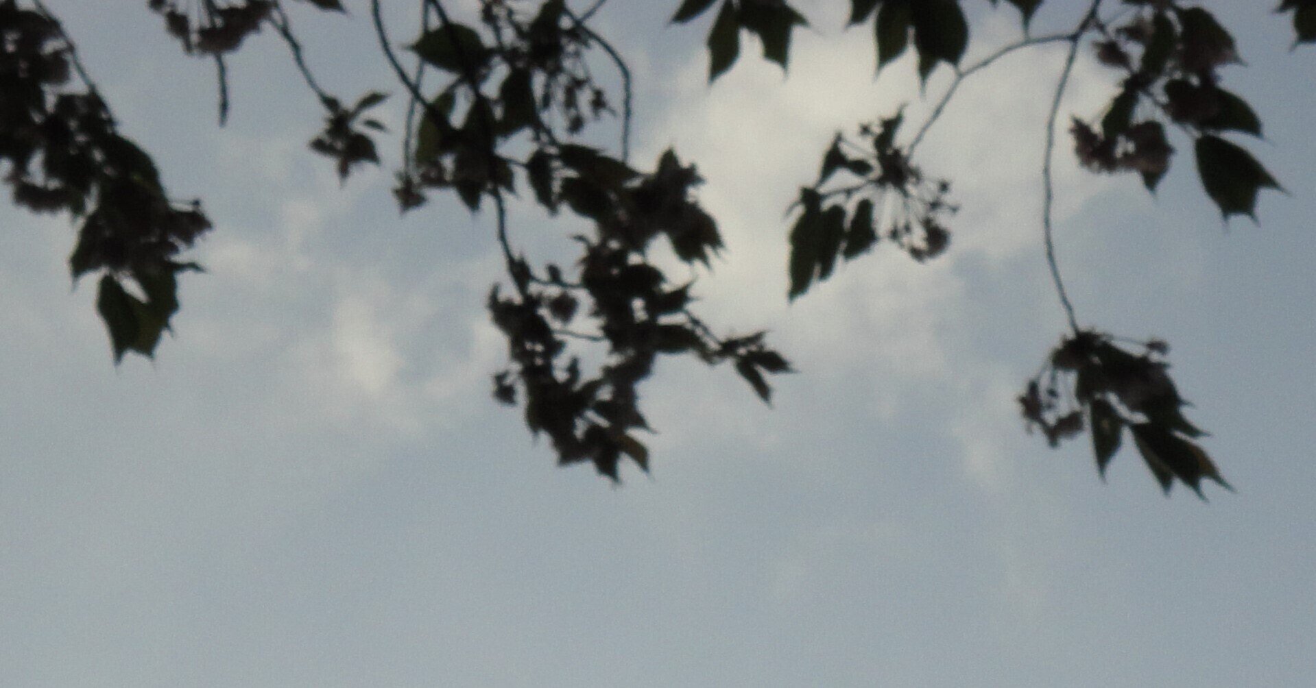 NAKAI hideaki｜note