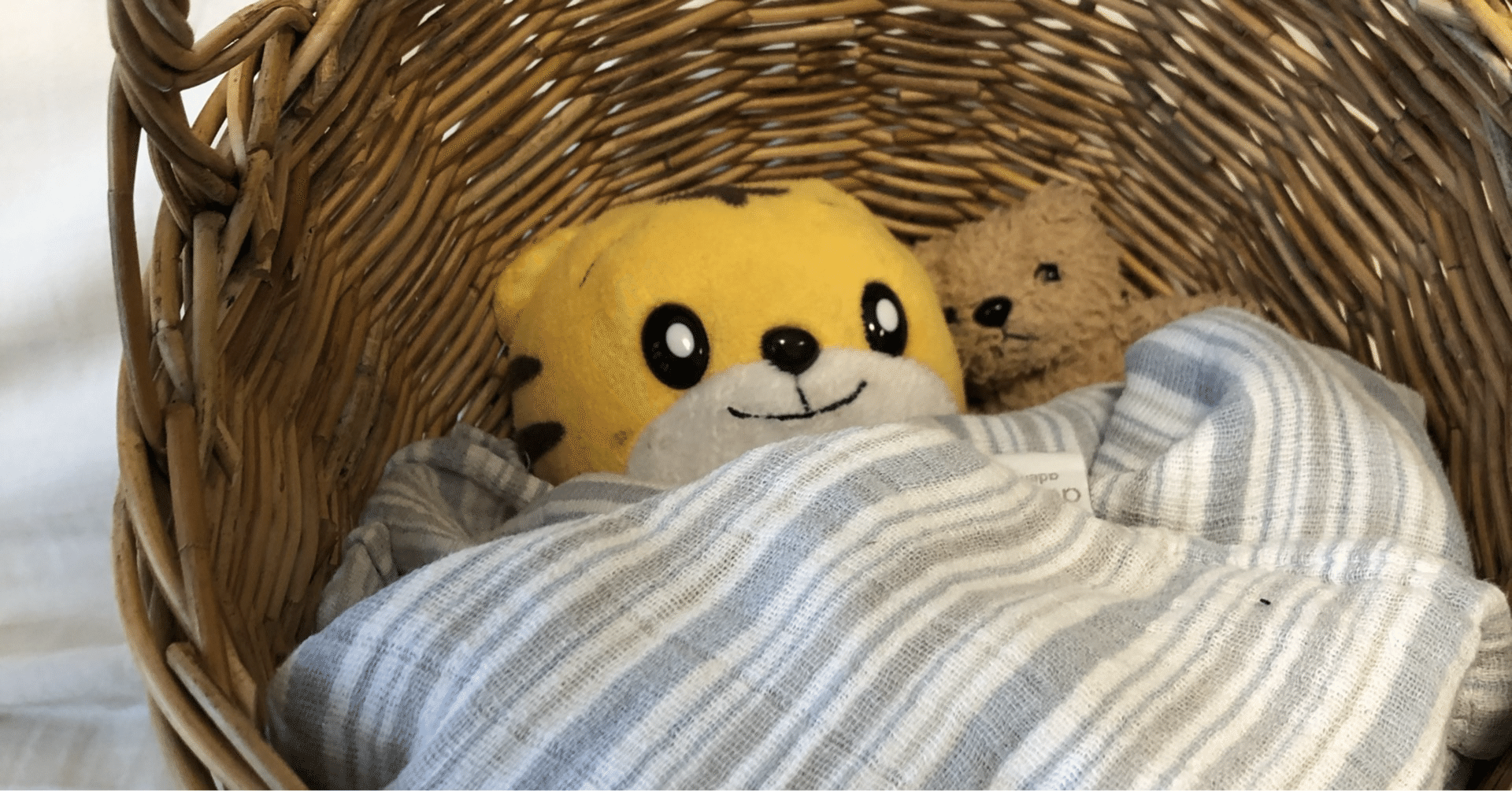 発達凸凹のはなし｜ohana_meme【ホームスクール ️発達凸凹】｜note