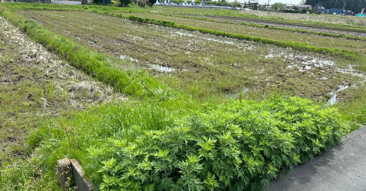 NicePapa 平野 尚志｜note