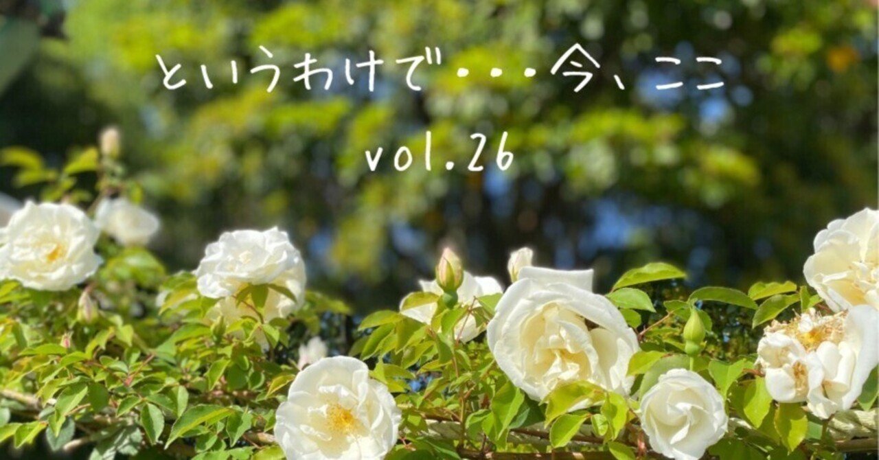 医療系麻薬は噛み砕こうとするな！歯が砕ける｜Peco Otaki（大多喜ぺこ）