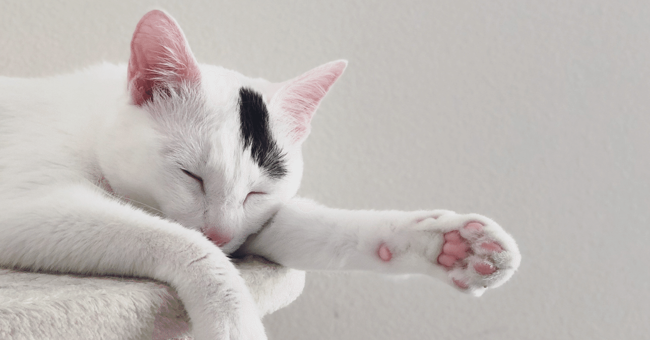 太陽フレアなの？｜JUNJUN