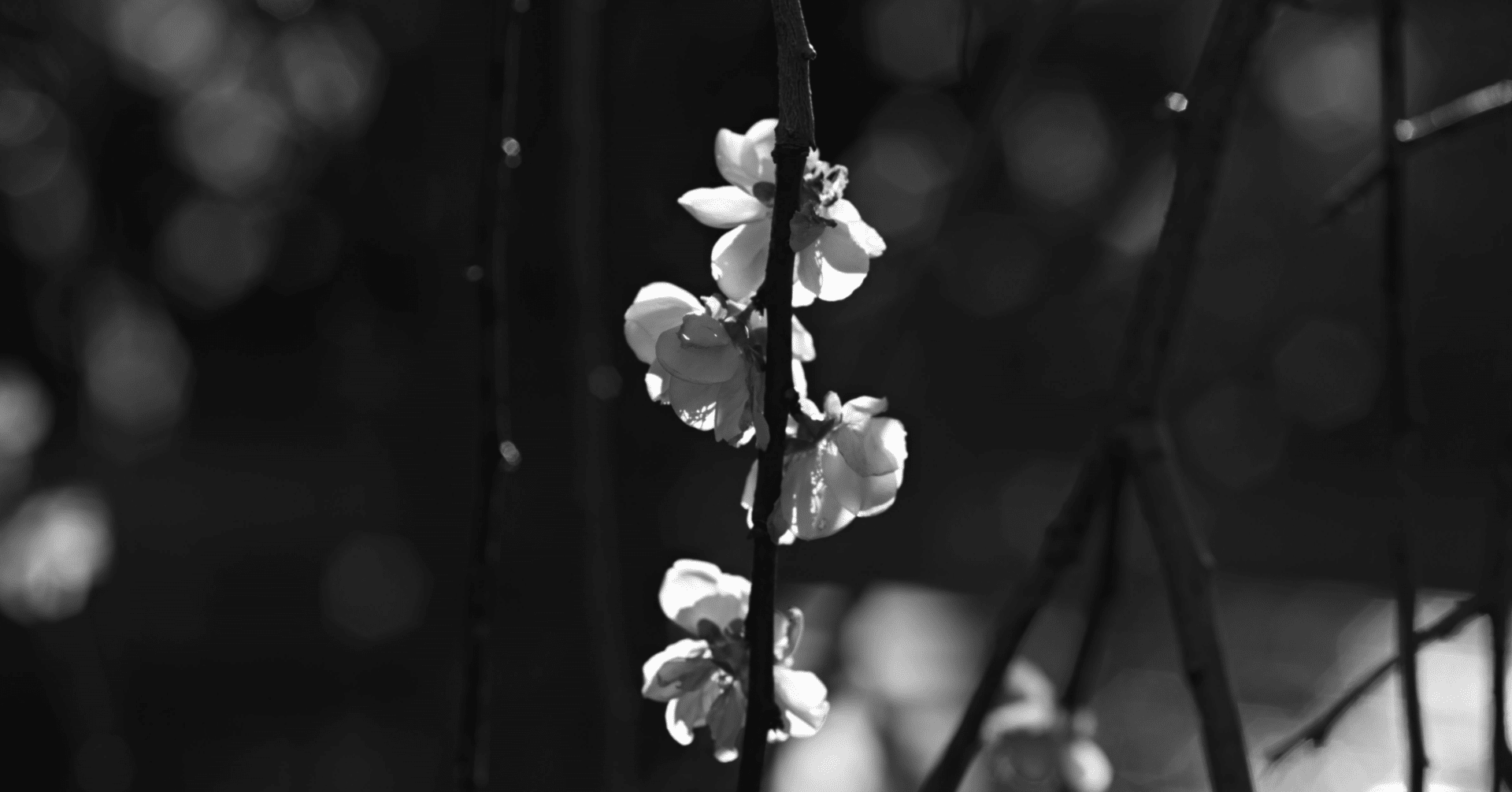 Ryosuke Matsusima｜note