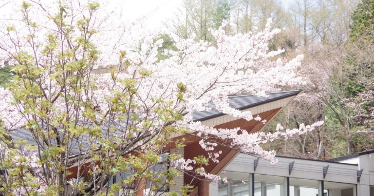 配属前夜【JOCV Day47】｜Rami (رامي)