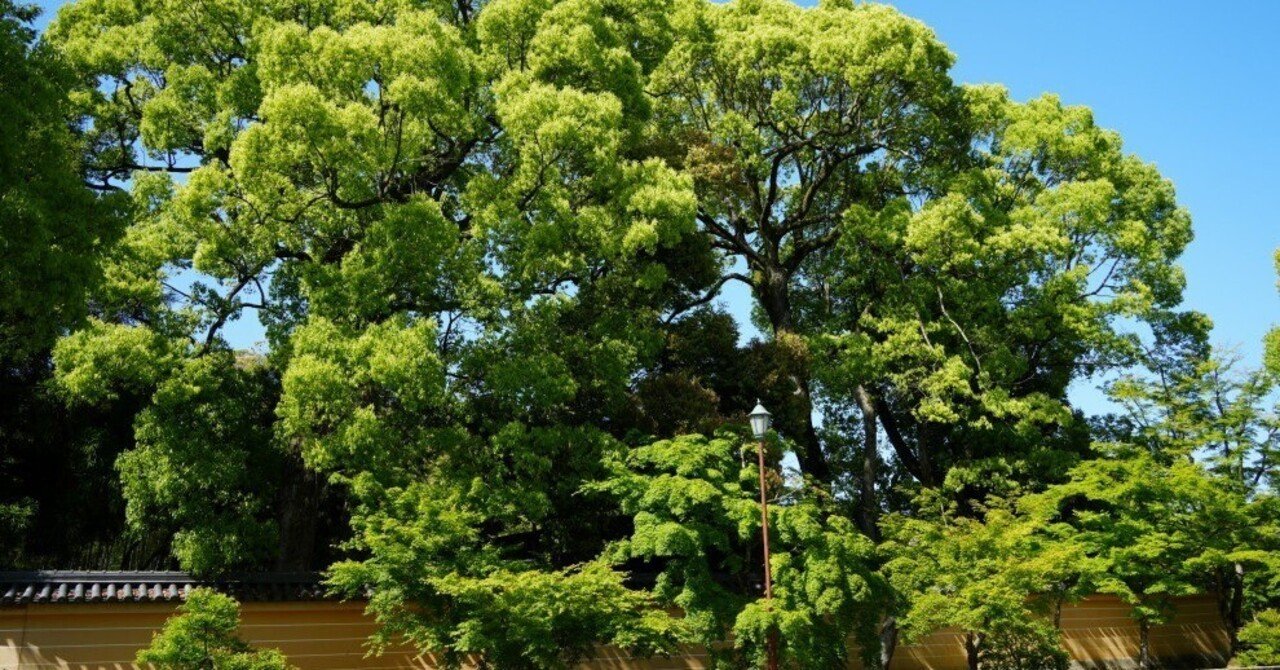 En ese momento, inició una estrategia para "socavar las industrias de ...