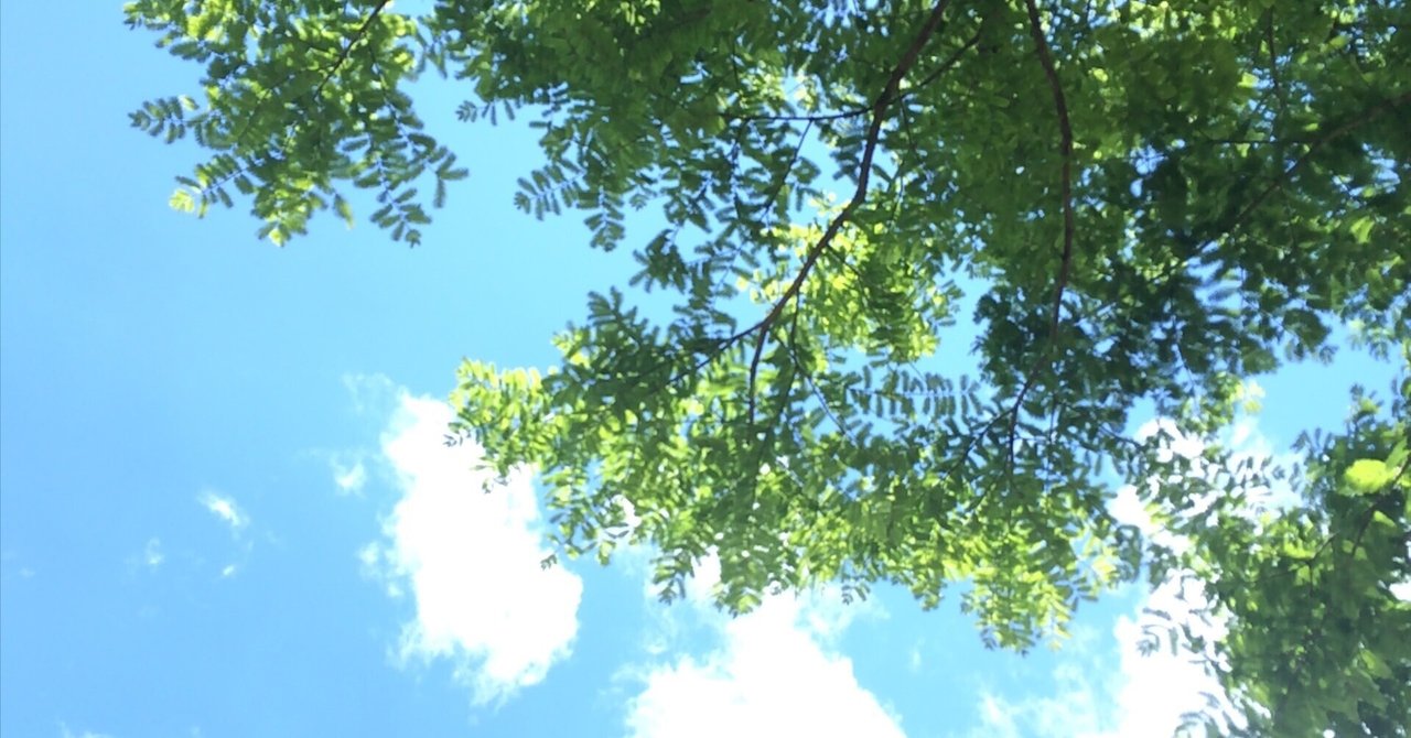 T_yokoiのLifeShift体験記＠今だけフォロバ100(ギャンブル除く）｜note