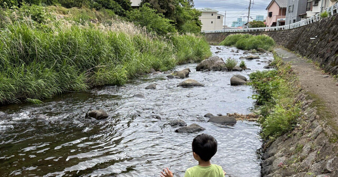 ホントはどうしたい？｜koya_mind