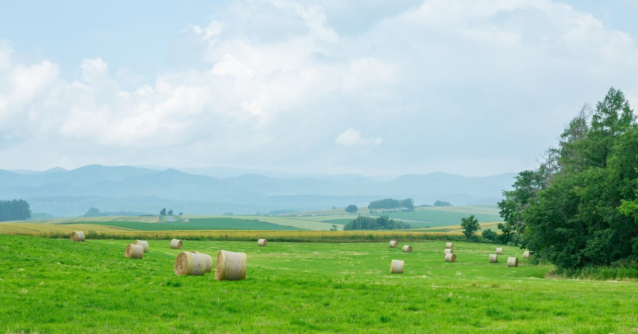 HiOLIという会社｜平岡晃