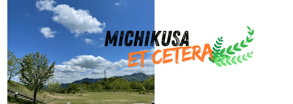 Lily Kobayashi｜note