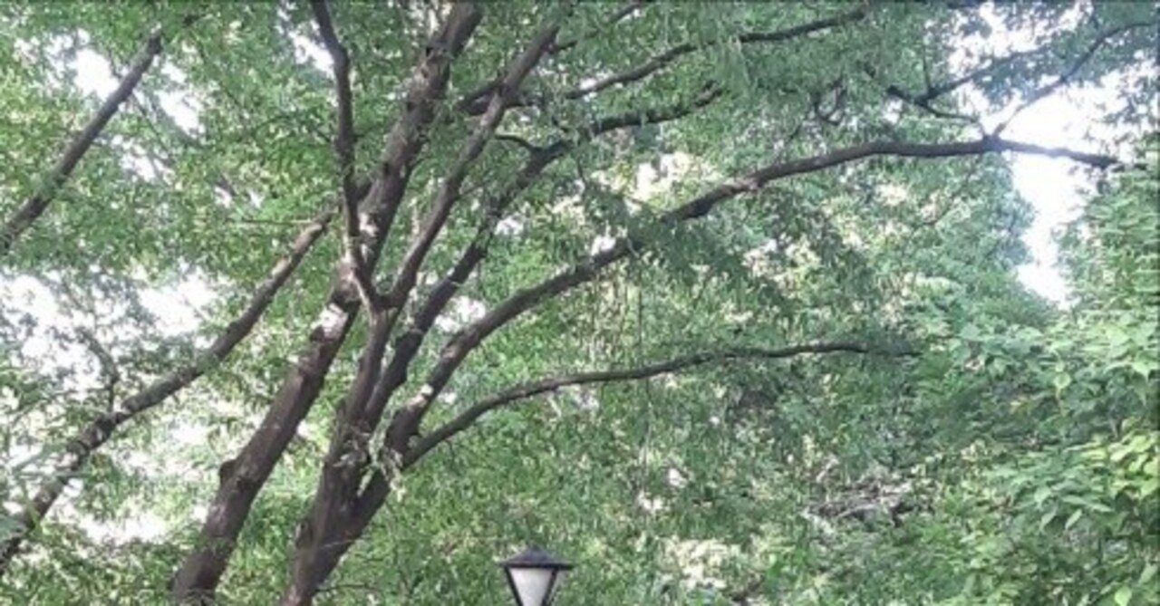 水瓶座の冥王星は「コミュニケーション革命」ではない、という話。｜ohabari_t7