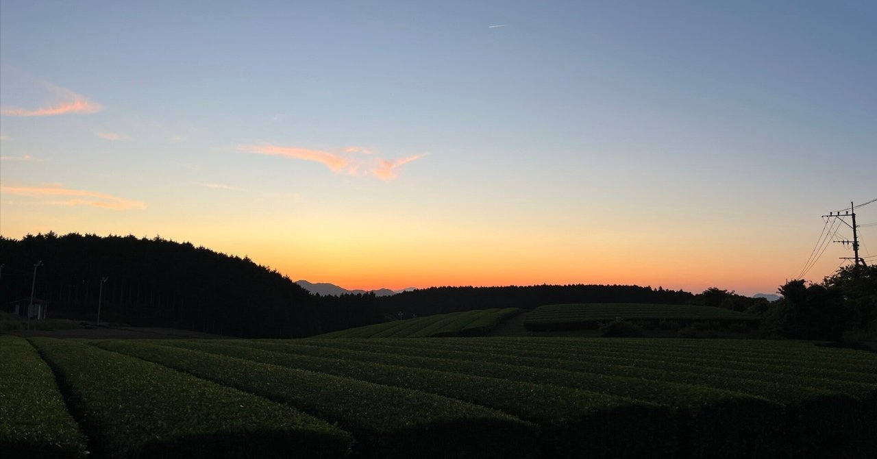 awai Sou / 佐藤 草 ともにいのちを生きる｜note