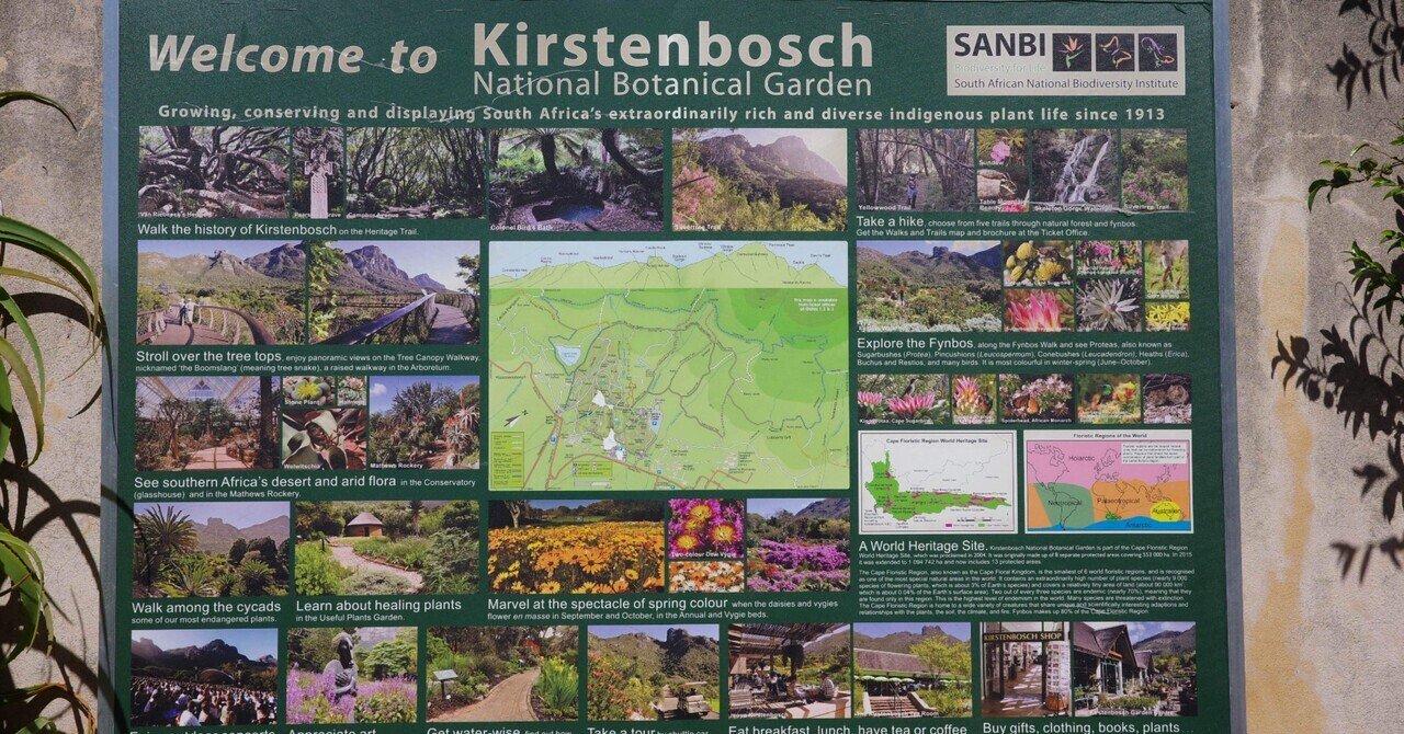 緑を味わえることにさんきゅう！｜ケープタウンで闘うShunta Suzuki