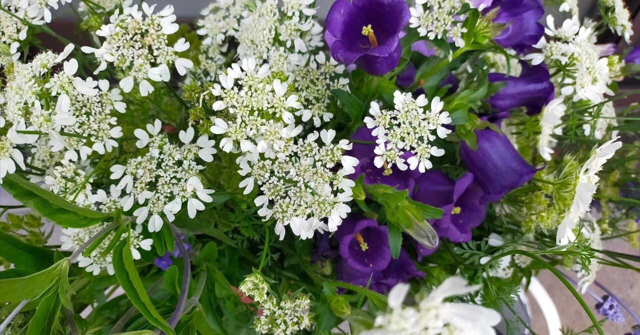 クランベリーcoco｜note