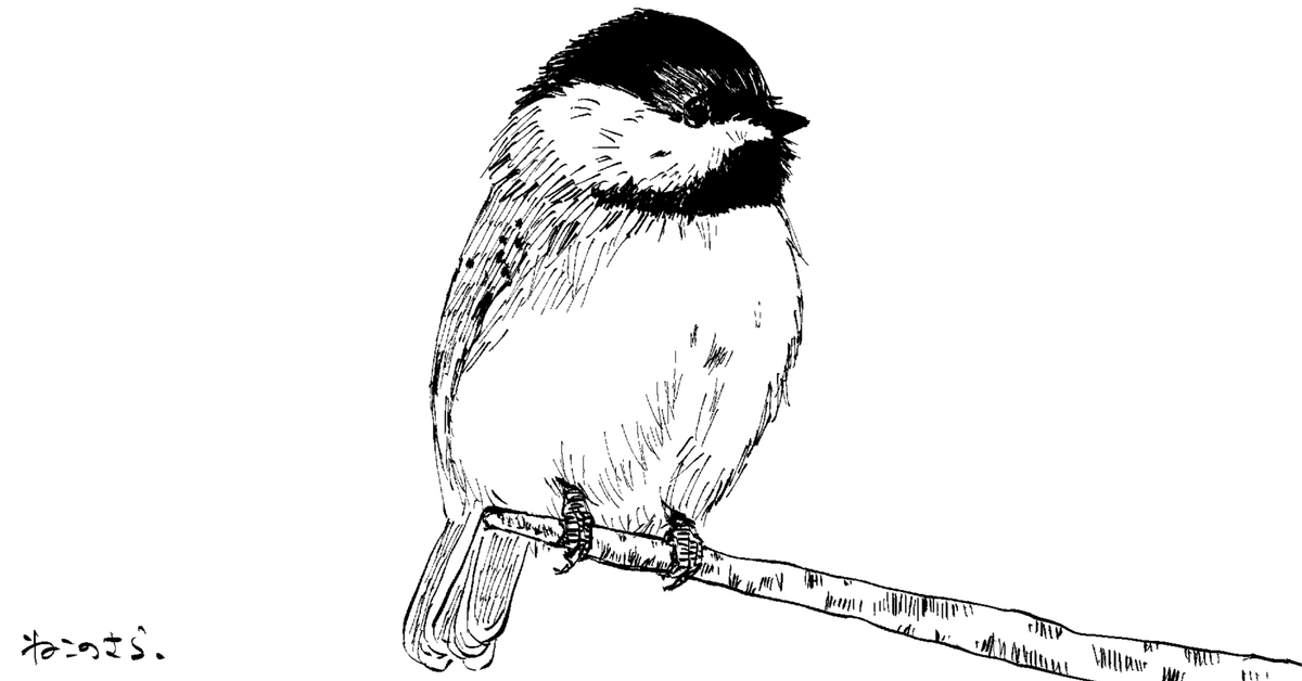 止まり木《詩》｜Toko Uchida