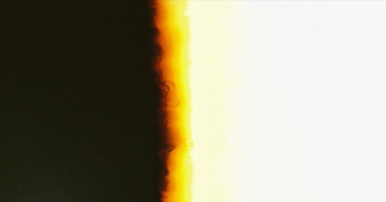 2024年5月14日（火）｜Honne Vlog