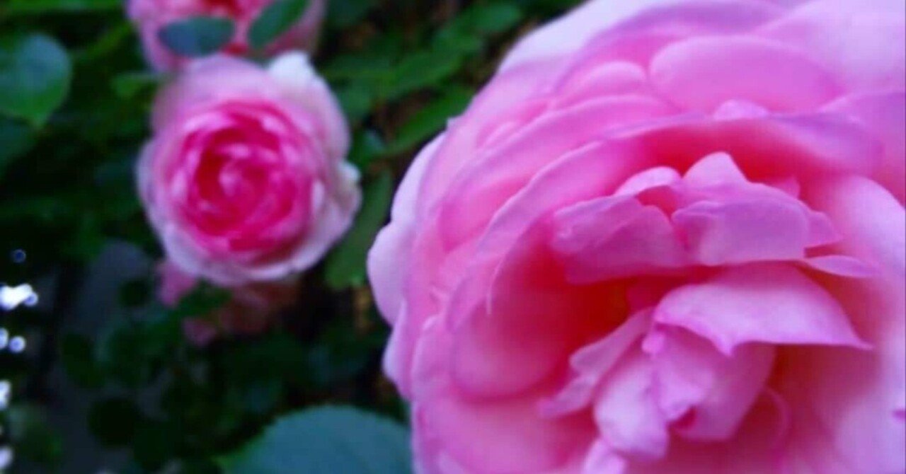 七色アガサnanairo_agasa｜note