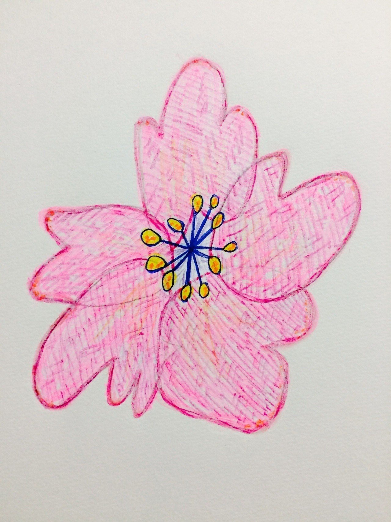 サクラノハナ｜ayano