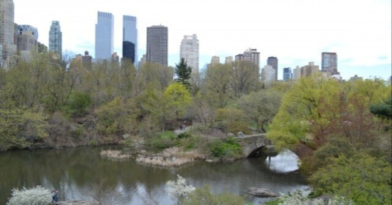 『ライ麦畑でつかまえて/The Catcher in The Rye』J.D.サリンジャー＜感想＞｜縹hanada