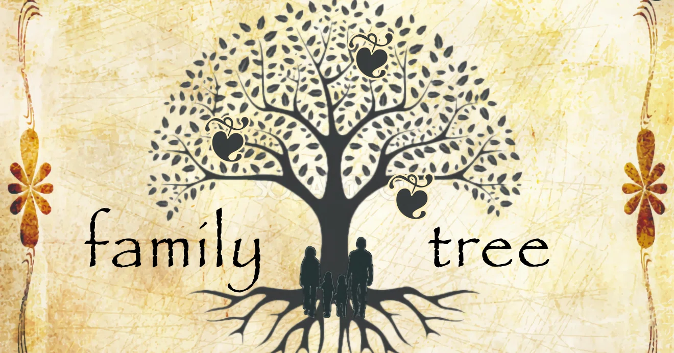 meg's family tree ｜note