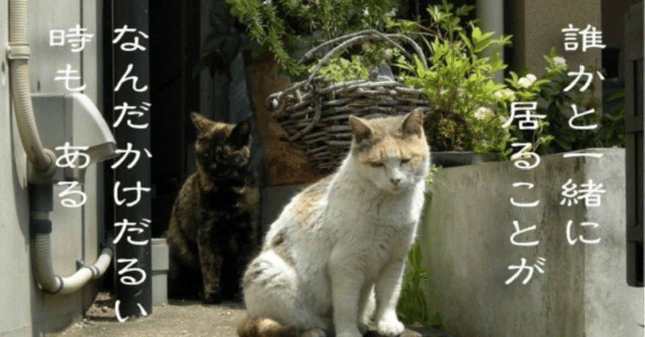 おひとり様レベルチェック｜春原美桜(miosuhara)