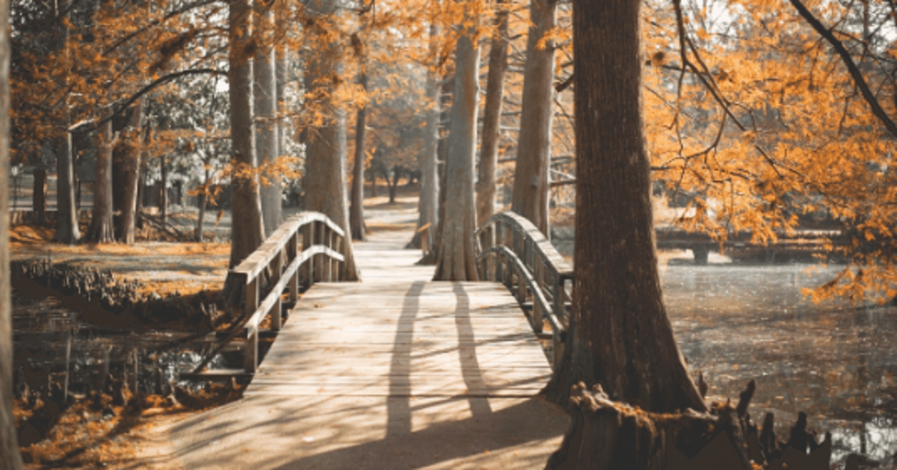 「ゆたぽんVSホリエモンVS DAIGO」皆さんはどう思いますか編！｜Issei 世界旅人