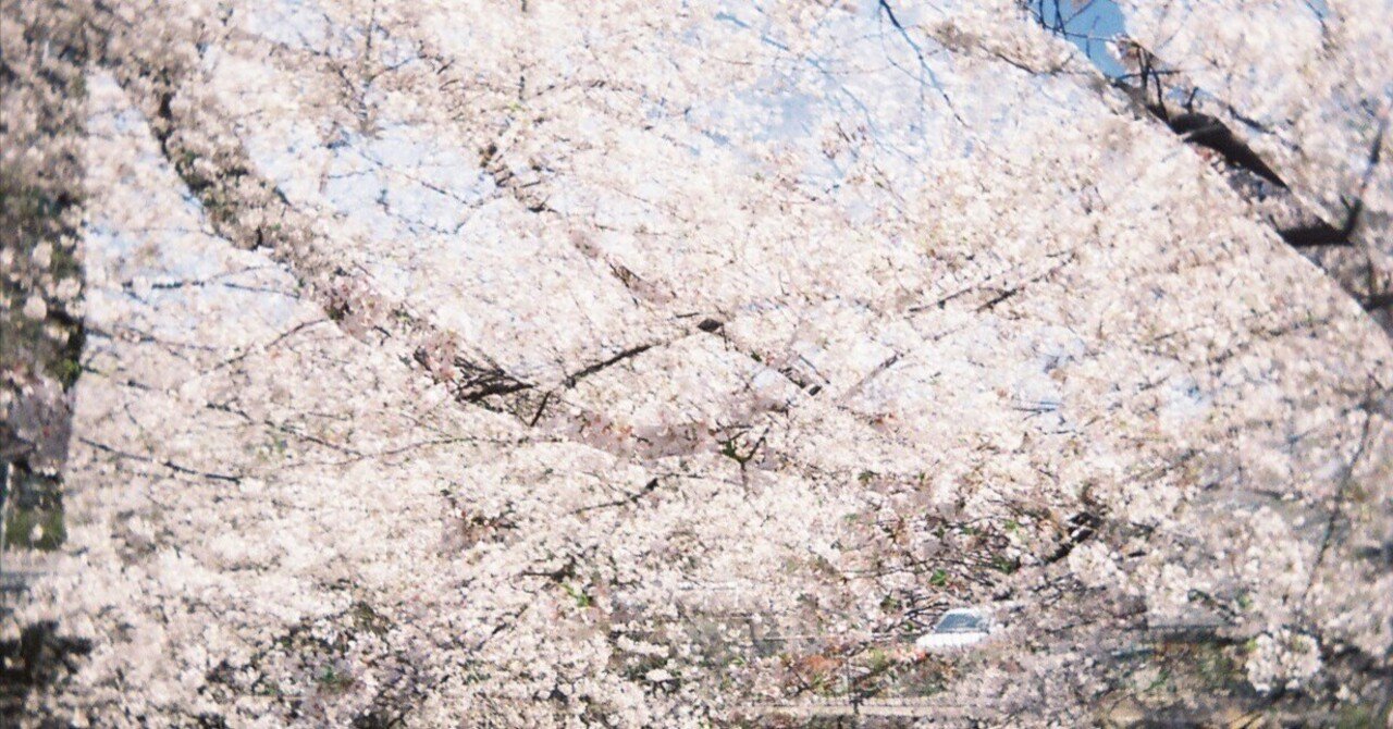 2024年5月15日（水）｜Honne Vlog