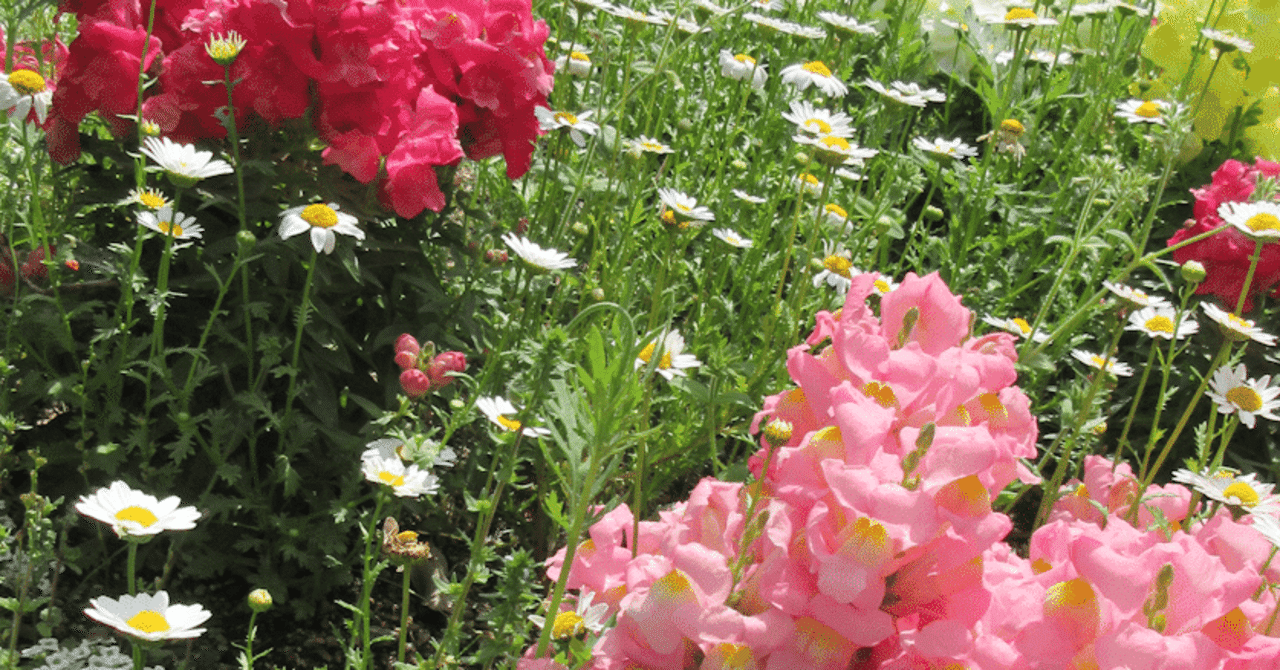 ubuntu 23-10ja にminiconda3 install その1｜blue06_2022