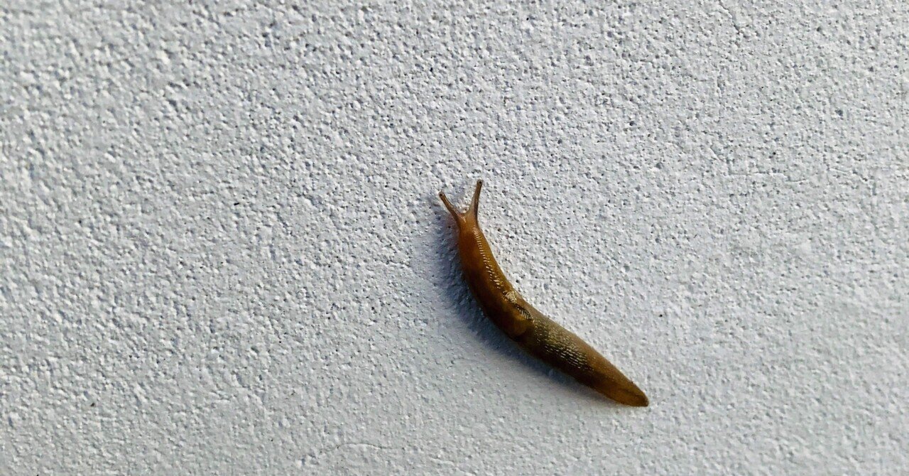 おもわぬ犯人｜Imatomi Aiko