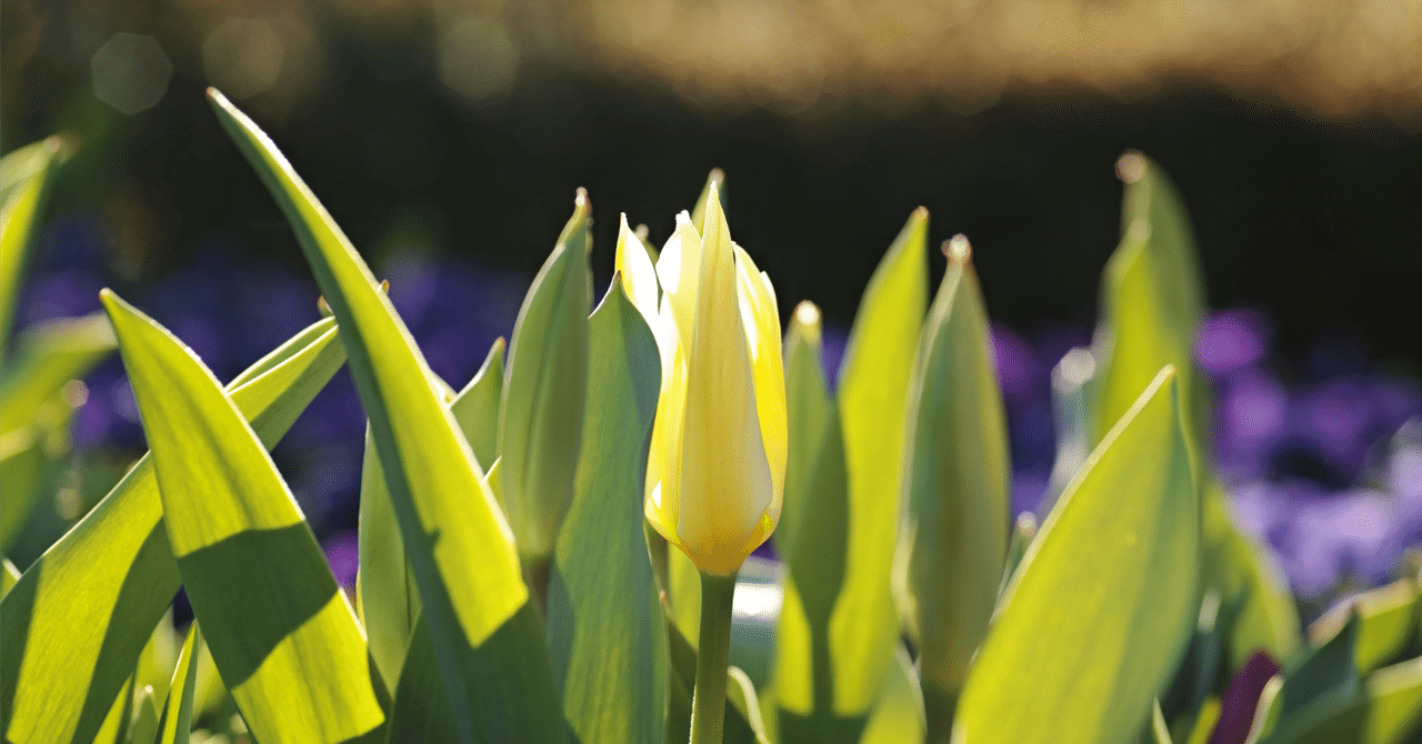 サビ、引き続き絶え間ないもちもち｜sabi_cat