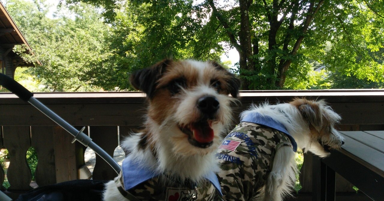 あんず おみやげ｜I am Anzu.