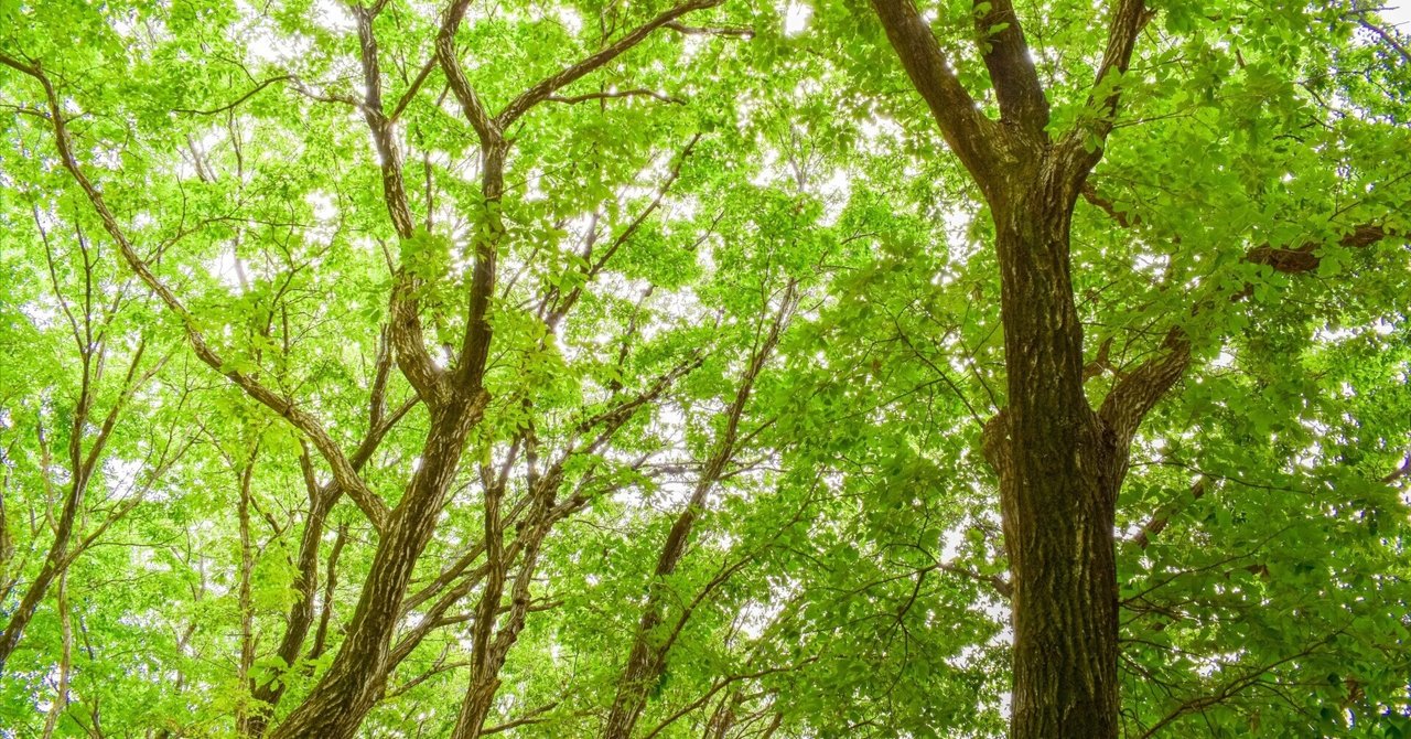 2024年5月16日（木）｜Honne Vlog