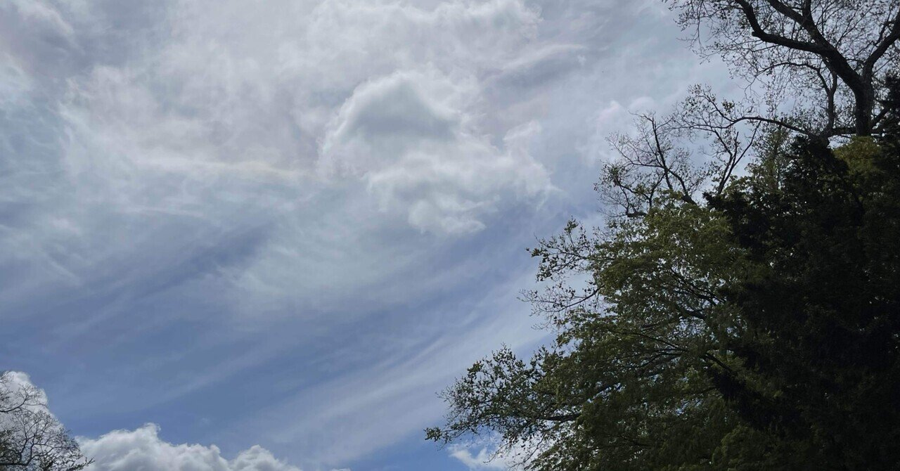 me and my xmas. vol.3｜Yoko xmas