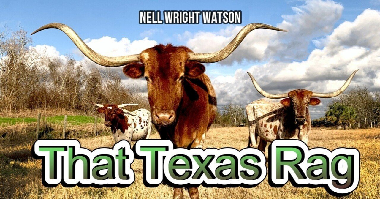 《今日の新譜》木管五重奏 ザット・テキサス・ラグ｜Hiroaki Se