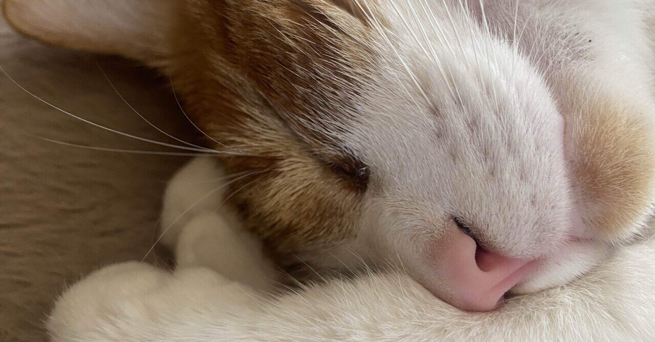 日記:2024/05/17｜mutaro