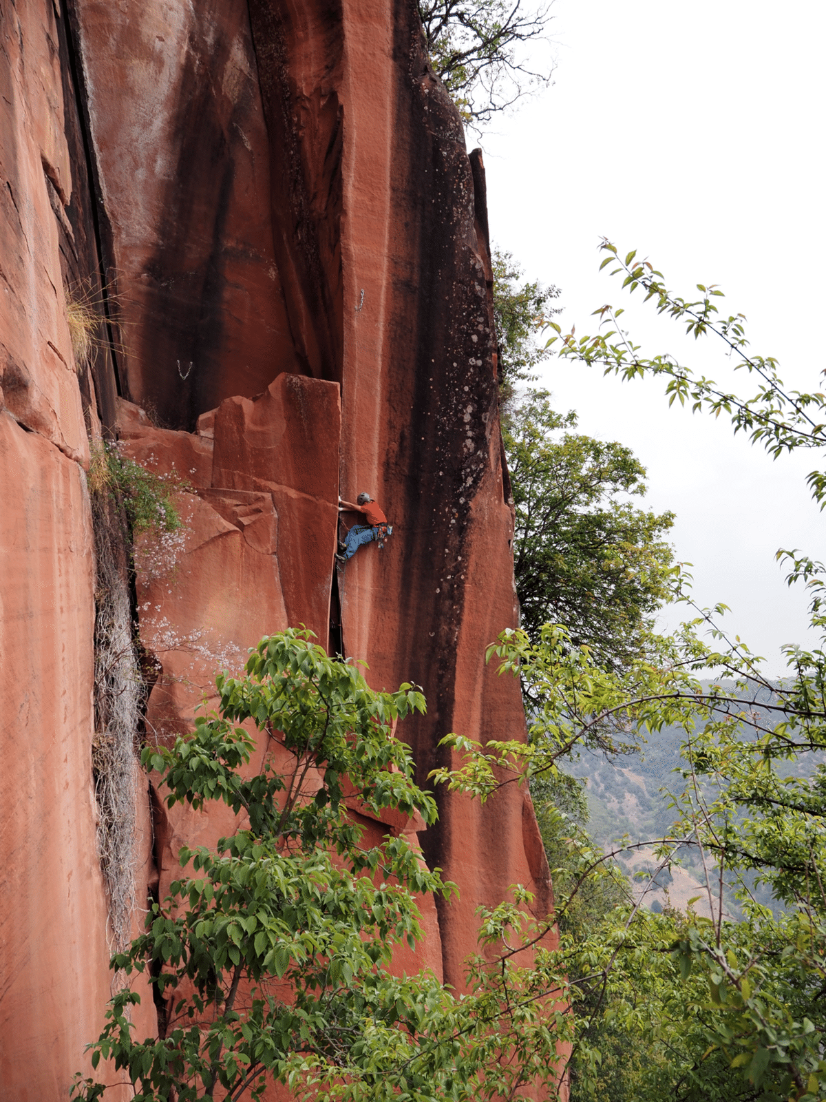 黎明クラックの聖地 - LiMing TRAD Climbing-｜astrobilly