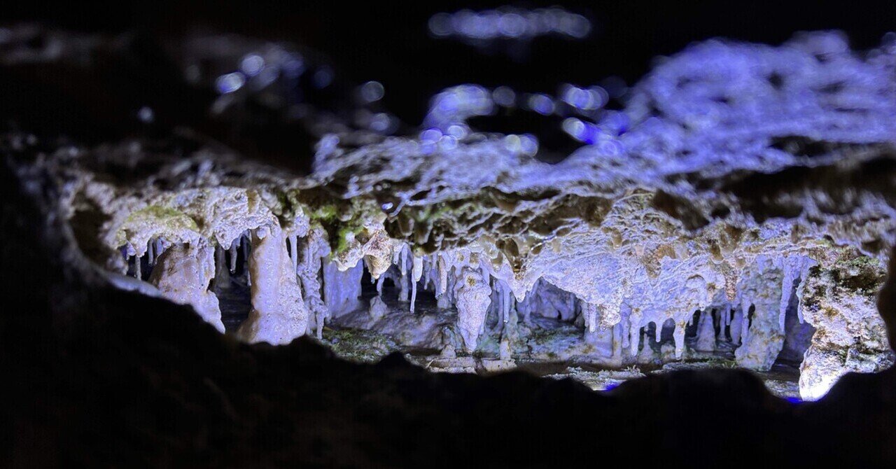 水鳥葛（mizudori kuzu）｜note