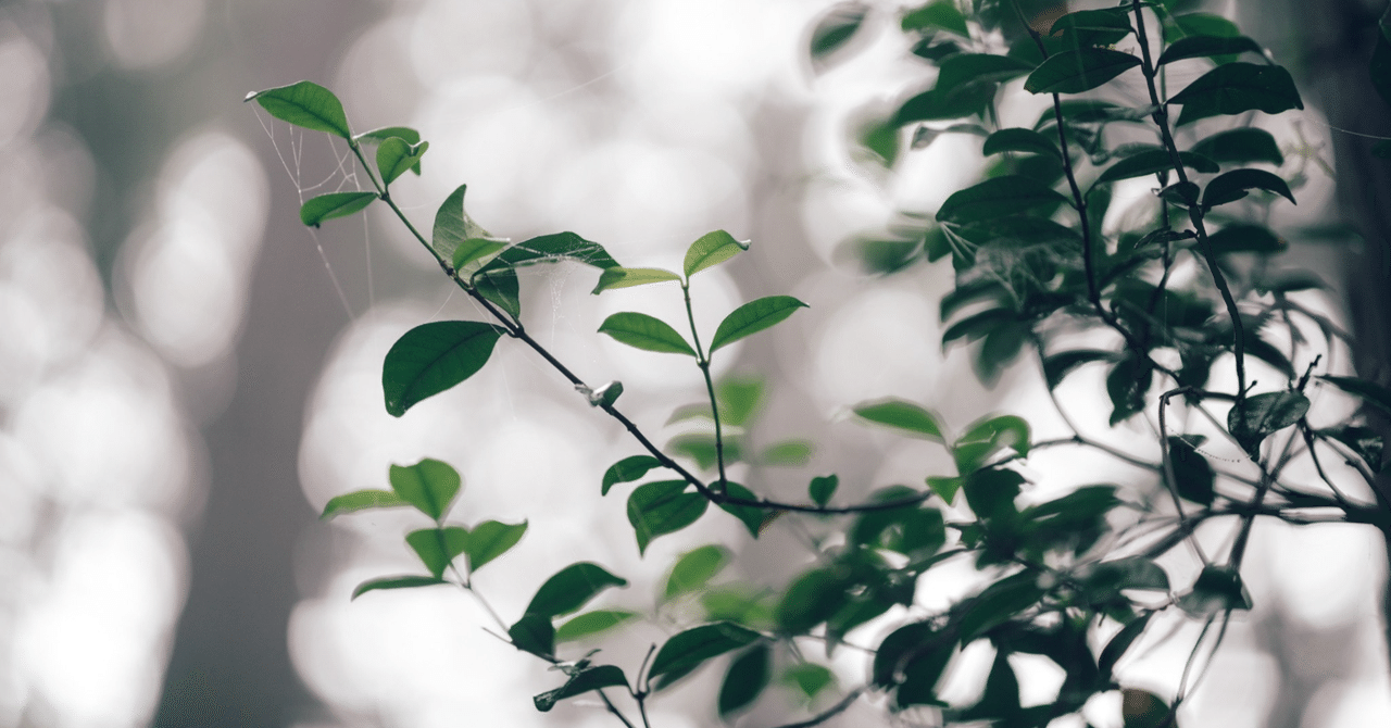 Makoto Shirasu｜note