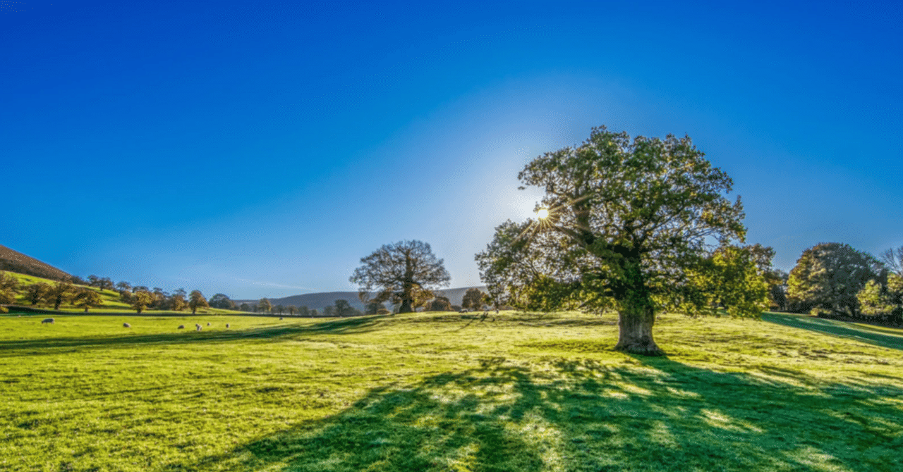 「今のあなたのままで、できる限り愛しなさい」 ｜Kaoru Sydney