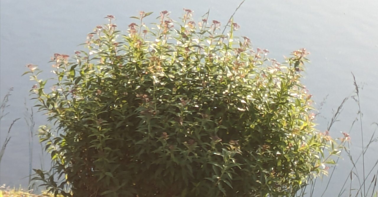 第3巻286番~作者 春日倉老(春日老)｜ichiro70