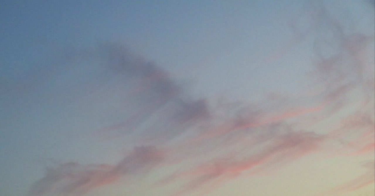 鳥Aves note I-v｜薄井 灌 Kan Usui