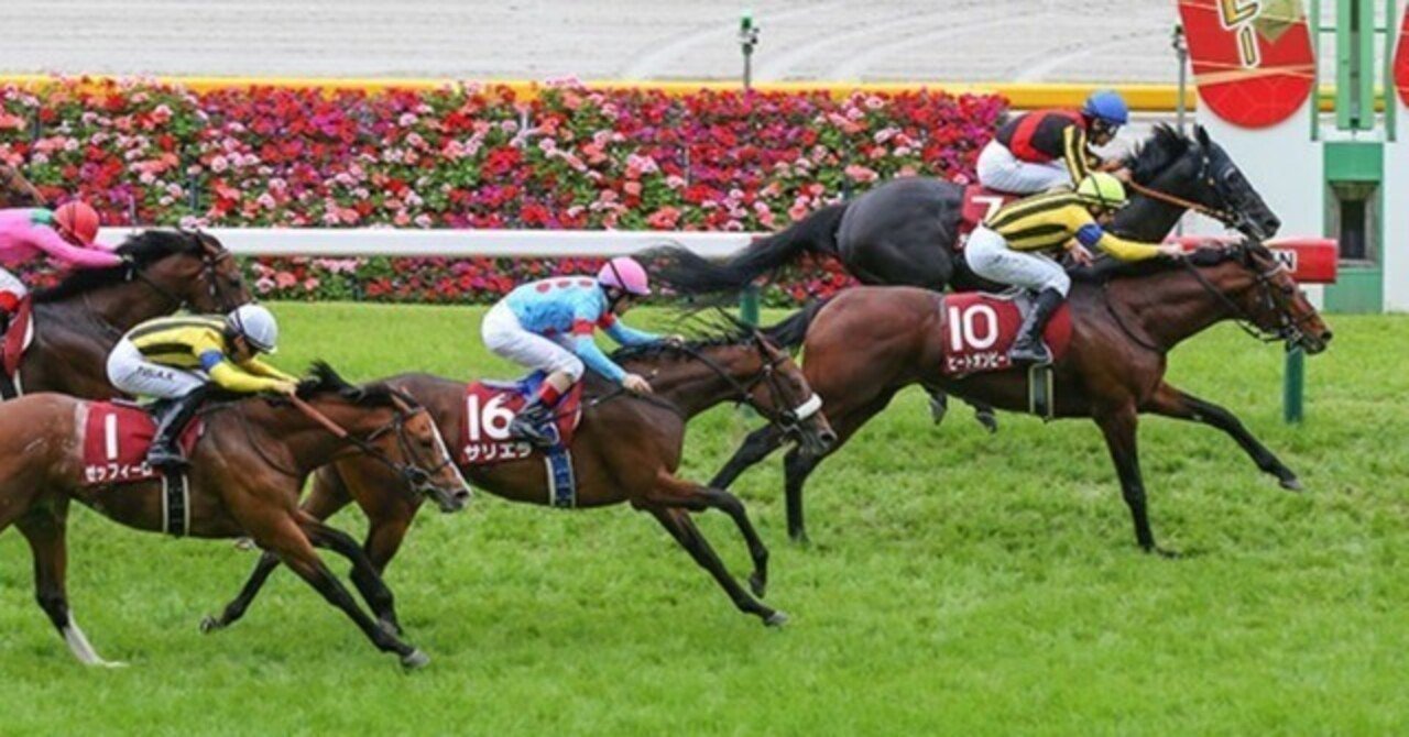 【2024 目黒記念ー（G2）】日刊馬番コンピ指数分析予想篇｜Haya