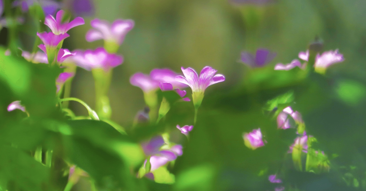 やっと容器持参ができた｜Nasue