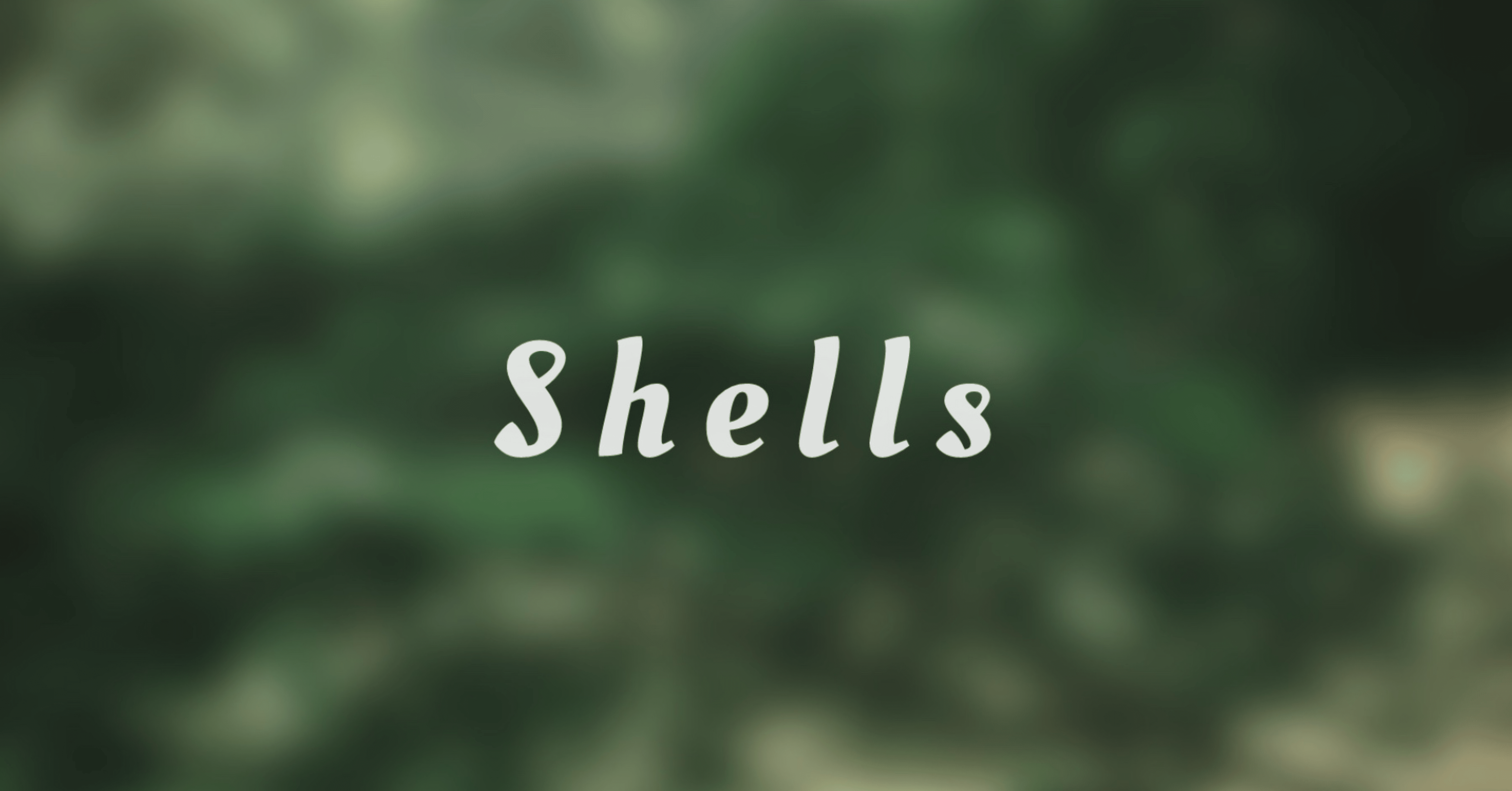 shells_note｜note