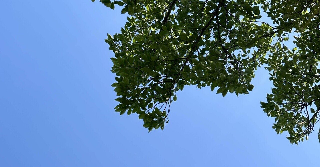 龍ちゃんメッセージ｜Hakuto Emiko