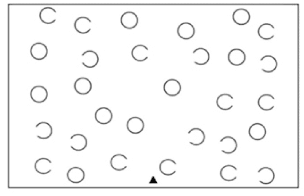 半側空間無視[ota test（中心座標の検査）]｜はらリハ【自費リハビリ&脳卒中専門セラピスト】